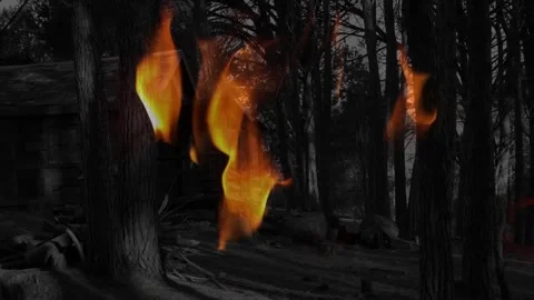 Animation of fire flames over trees in f... | Stock Video | Pond5