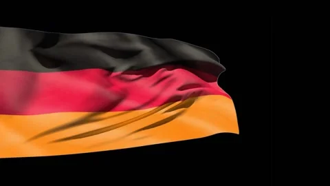 Animation of flag of germany over firewo... | Stock Video | Pond5