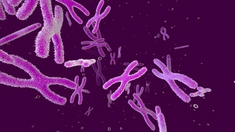 Animation of floating Chromosomes | Stock Video | Pond5