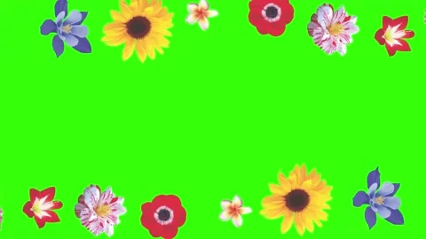 Animation of flowers on green screen, gr... | Stock Video | Pond5