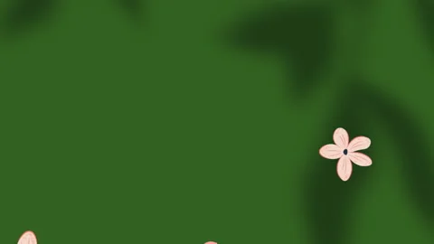 Animation of flowers over leaves and win... | Stock Video | Pond5