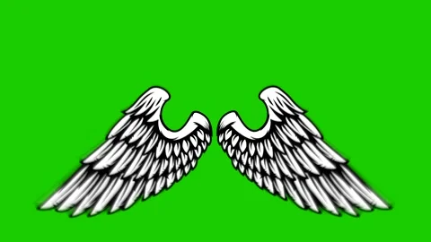 animation of flying wings on green backg... | Stock Video | Pond5