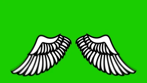 animation of flying wings on green backg... | Stock Video | Pond5