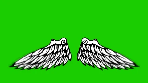 animation of flying wings on green backg... | Stock Video | Pond5