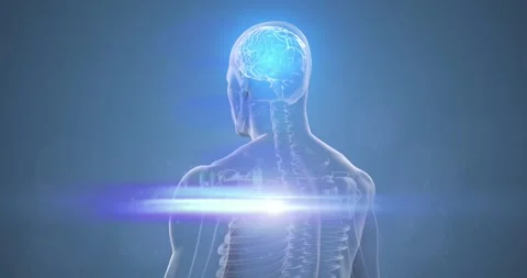 Animation of glowing light over human bo... | Stock Video | Pond5