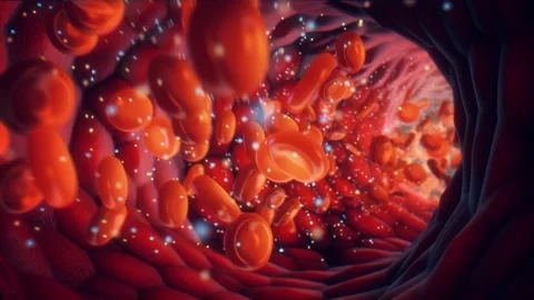 Animation of glucose and insulin molecul... | Stock Video | Pond5