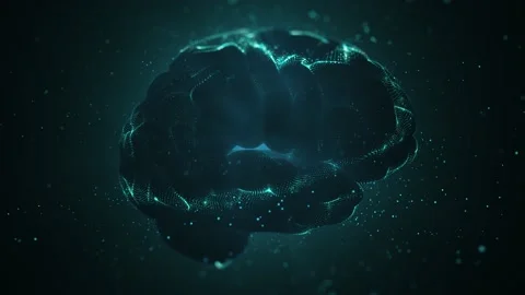 Brain Stem Stock Footage ~ Royalty Free Stock Videos | Pond5