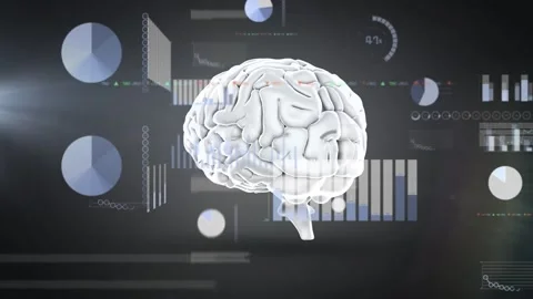 Animation of graphs and data over brain ... | Stock Video | Pond5