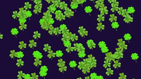 Animation of green clover leaves on blac... | Stock Video | Pond5