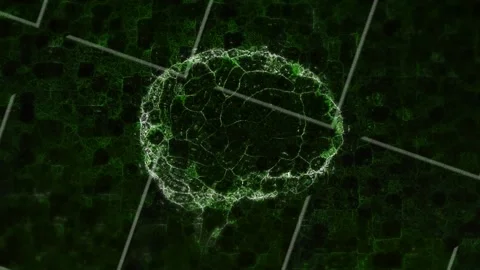Animation of green human brain spinning ... | Stock Video | Pond5