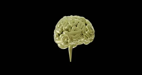 Animation of green human brain spinning ... | Stock Video | Pond5