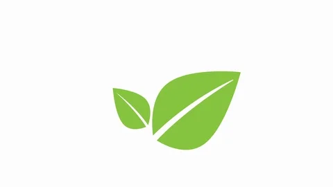 animation green leaves. Graphic element ... | Stock Video | Pond5