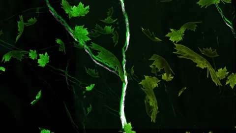 Animation of green leaves over moving li... | Stock Video | Pond5