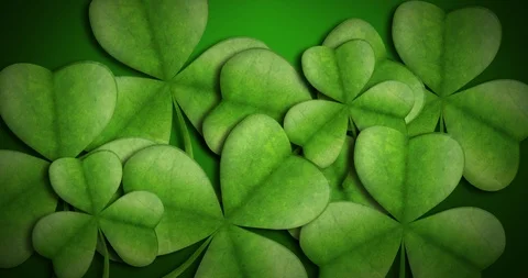 Animation of green shamrocks 4k | Stock Video | Pond5