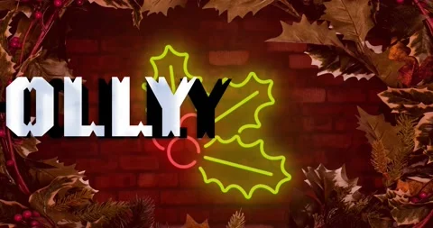 Animation of holly text banner over neon... | Stock Video | Pond5