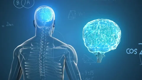Animation of human body and brain with s... | Stock Video | Pond5
