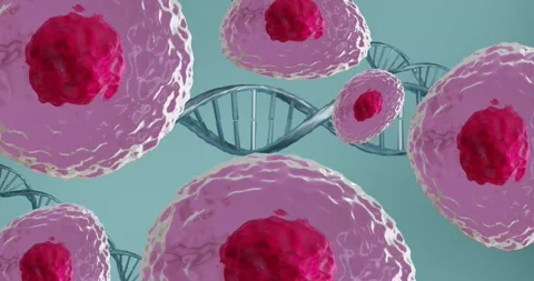 Animation of human body cells and dna st... | Stock Video | Pond5