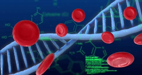 Animation of human body cells and dna st... | Stock Video | Pond5