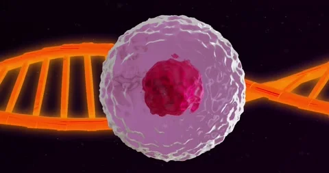 Animation of human body cells and dna st... | Stock Video | Pond5