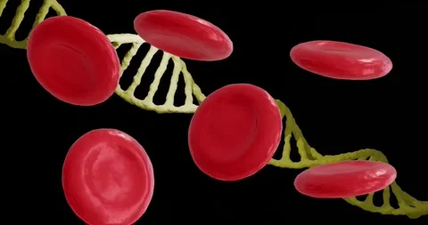 Animation of human body cells and dna st... | Stock Video | Pond5