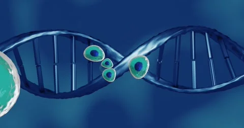 Animation of human body cells and dna st... | Stock Video | Pond5