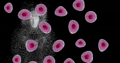 Animation of human body cells and human ... | Stock Video | Pond5