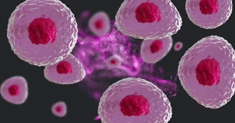 Animation of human body cells on black b... | Stock Video | Pond5