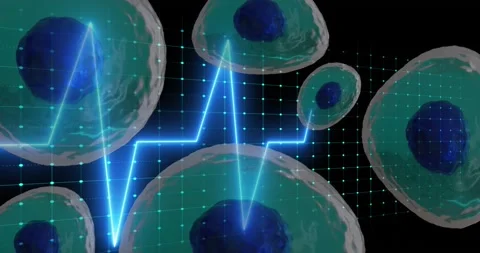 Animation of human body cells on grid wi... | Stock Video | Pond5