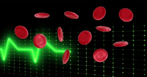 Animation of human body cells on grid wi... | Stock Video | Pond5