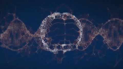 Animation of human brain and dna strand ... | Stock Video | Pond5