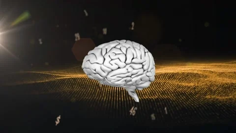 Animation of human brain and numbers pro... | Stock Video | Pond5