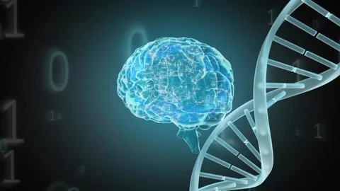 Animation of human brain, dna strand and... | Stock Video | Pond5
