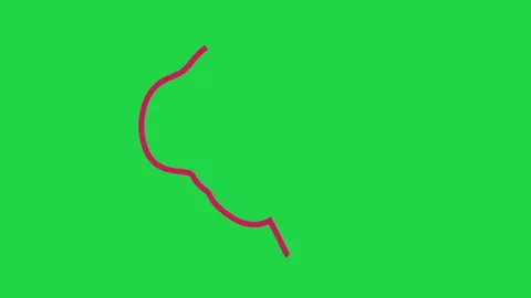 Animation of the human brain on a green ... | Stock Video | Pond5