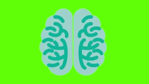 Animation of a human brain on a green sc... | Stock Video | Pond5