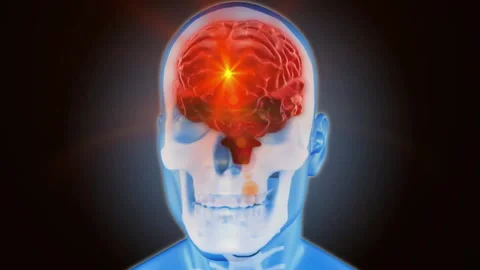 Animation of human brain with nervous sy... | Stock Video | Pond5