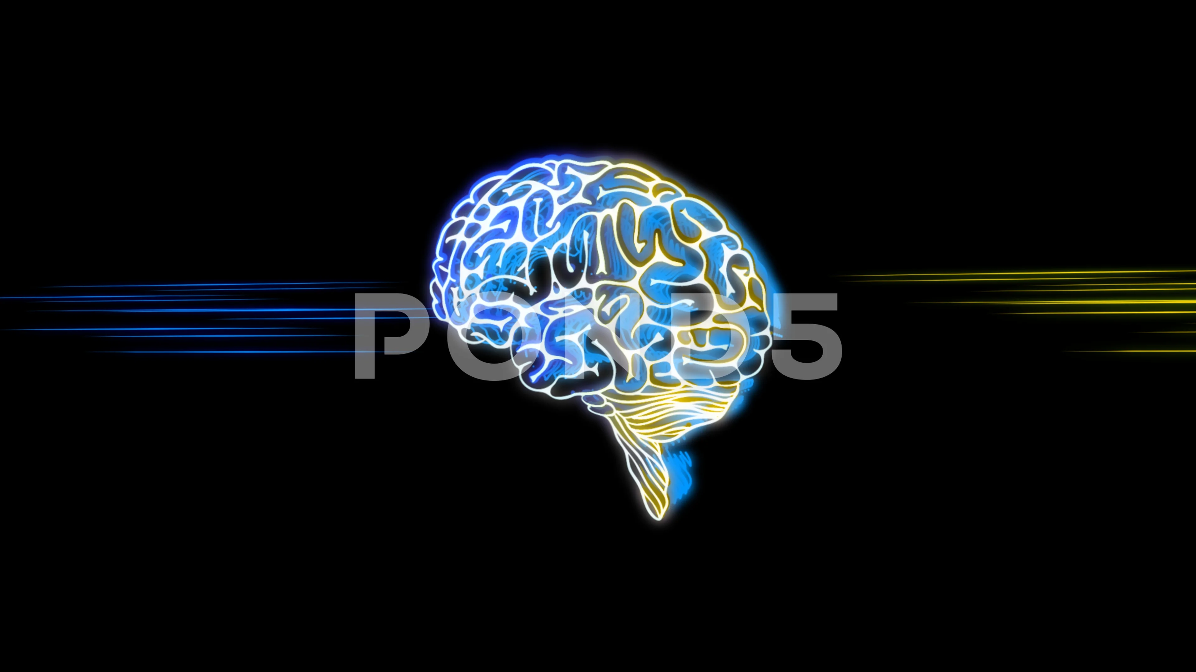 Human Brain Animation