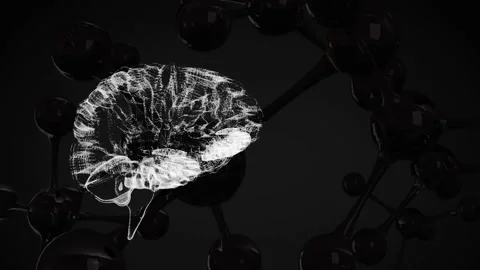 Animation of a human brain rotating with... | Stock Video | Pond5
