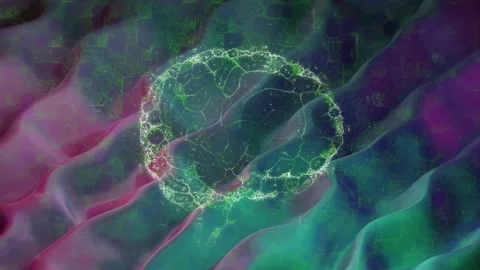 Animation of human brain spinning over l... | Stock Video | Pond5