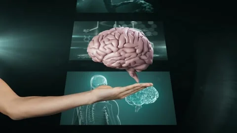 Animation of human brain spinning over s... | Stock Video | Pond5