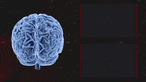 Animation of Human Brain with Two Blank ... | Stock Video | Pond5