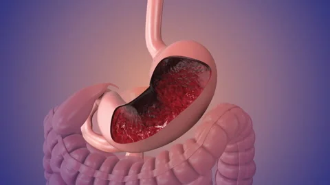 Animation of the human digestive system | Stock Video | Pond5
