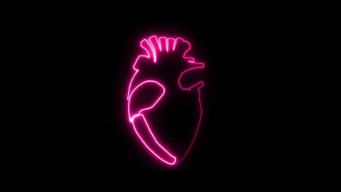 Animation Of Human Heart On Black Backgr... | Stock Video | Pond5