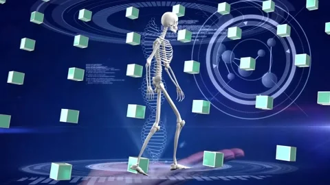 Animation of human skeleton, dna strand ... | Stock Video | Pond5