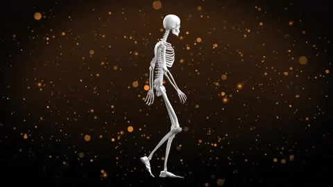 Animation of human skeleton model walkin... | Stock Video | Pond5