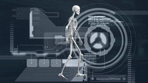 Animation of human skeleton, scope scann... | Stock Video | Pond5