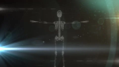 Animation of human skeleton spinning ove... | Stock Video | Pond5