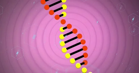 Animation of icons, dna strand over pink... | Stock Video | Pond5