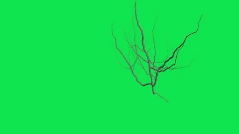 .animation - Ivy growing on green scree... | Stock Video | Pond5