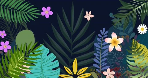 Animation of jungle flowers and leaves o... | Stock Video | Pond5