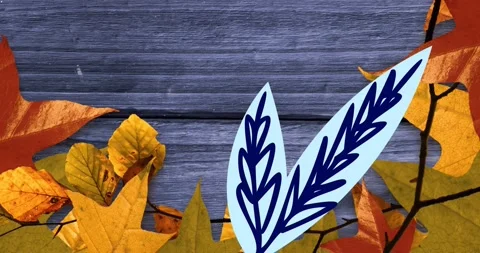 Animation of leaves and leaf drawing on ... | Stock Video | Pond5